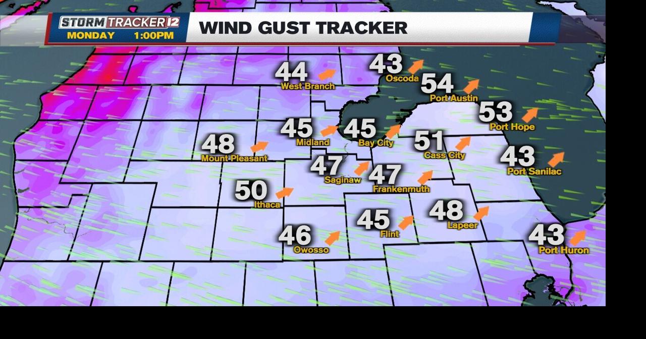 Wind Advisory issued for nearly all of Lower Michigan on Monday ...