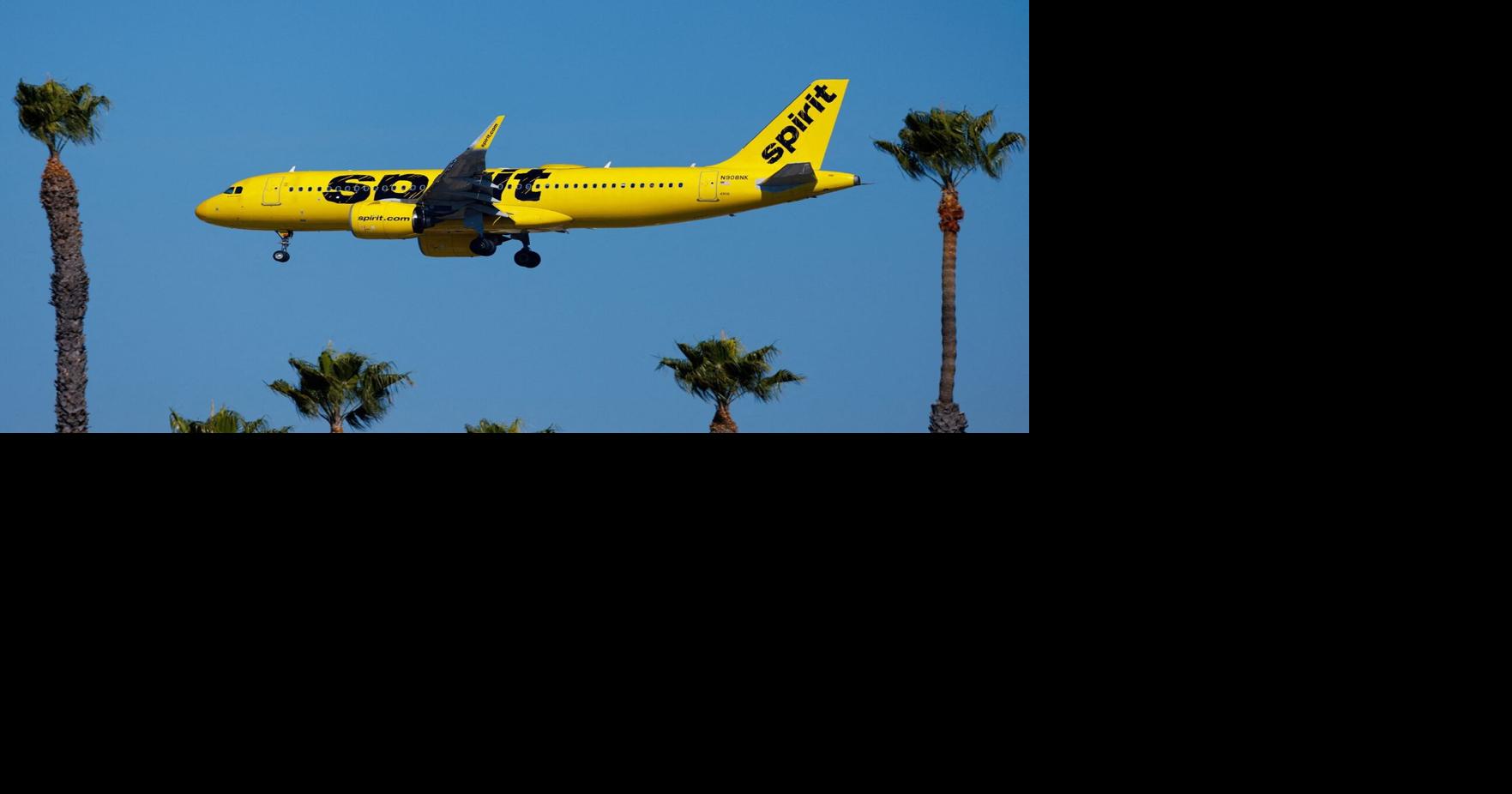 JetBlue and Spirit appeal court decision blocking their merger ...