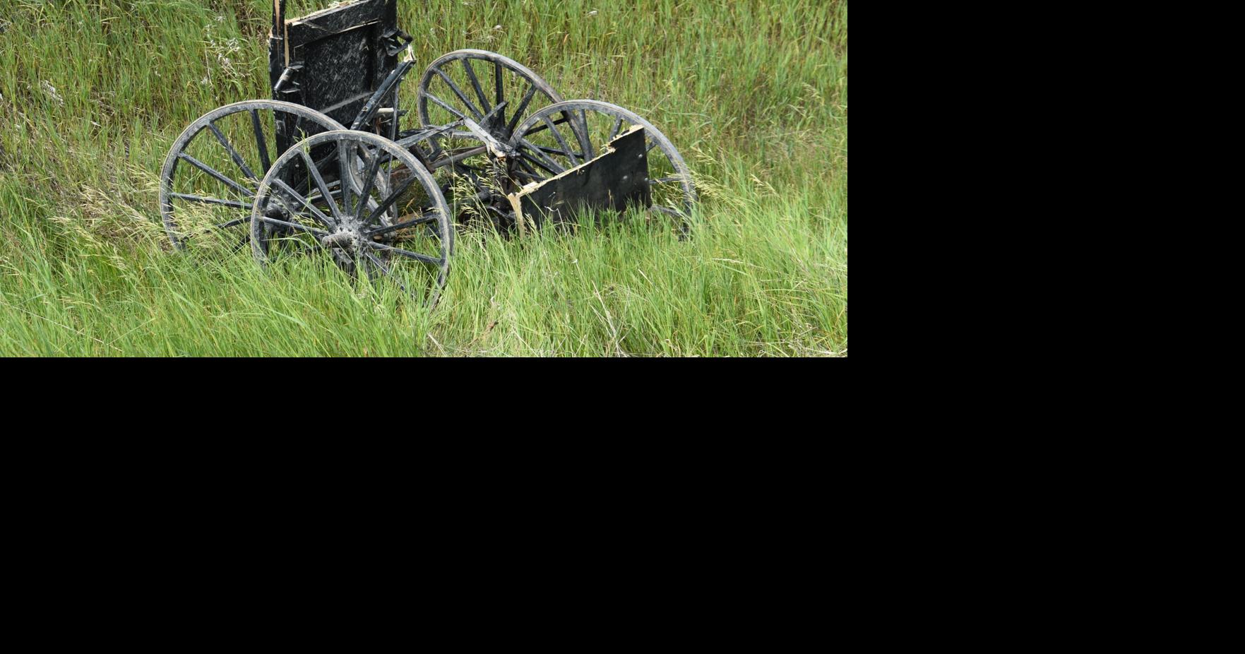 One person seriously hurt following an Amish buggy accident Friday ...