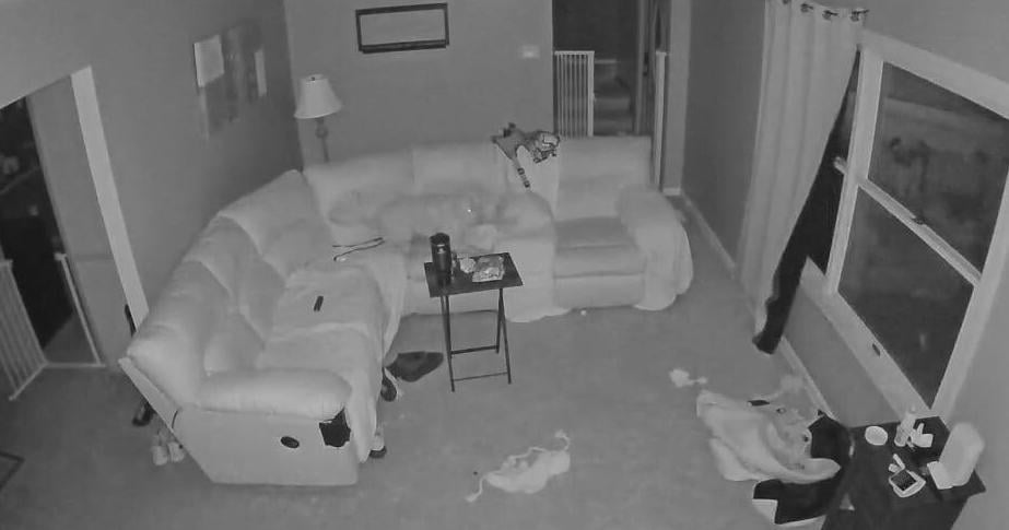 Flint man shaken after home camera captures bullet tearing through ...