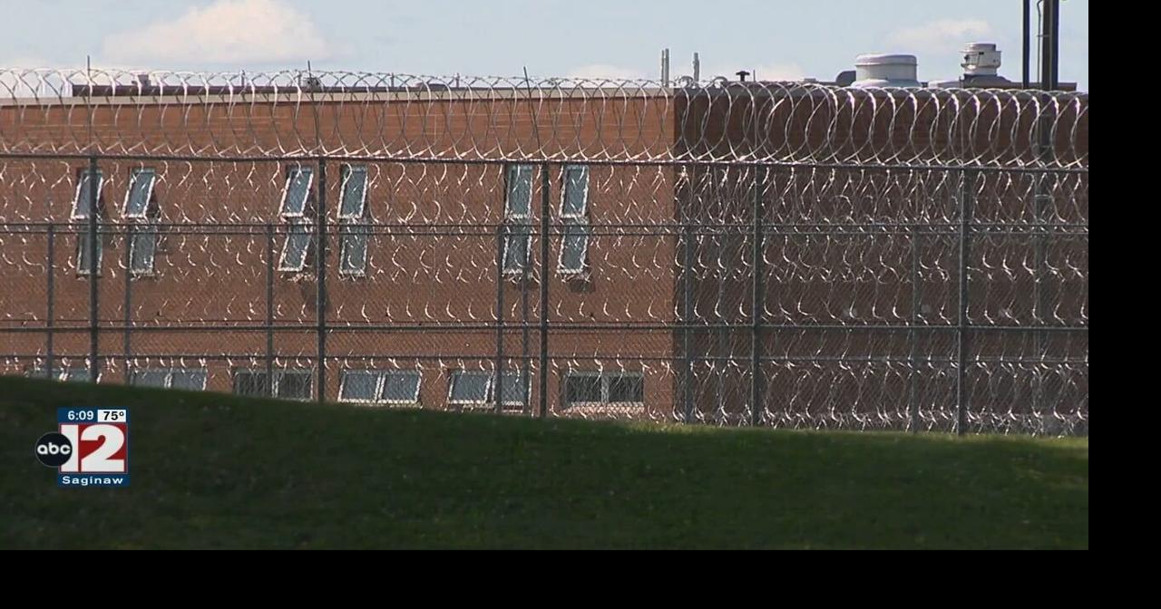Michigan Department of Corrections holding job fair in Lapeer | Local ...