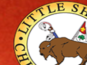 Federal recognition of the Little Shell Tribe of Chippewa Indians ...