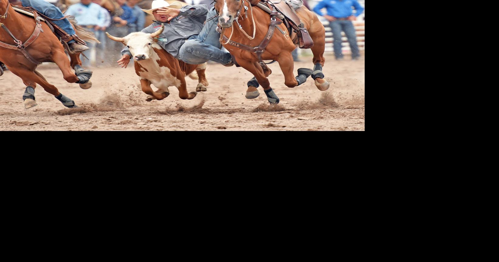 Placed seventh in 2018 Wild Bill Hickok Rodeo, Ramona cowboy having ...