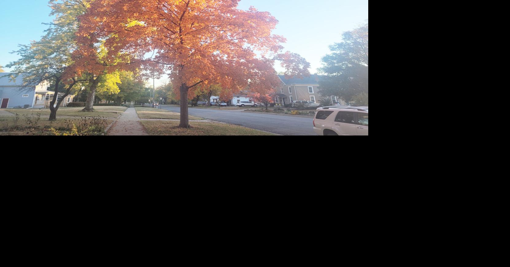 Fiery Fall Colors | News | abilene-rc.com