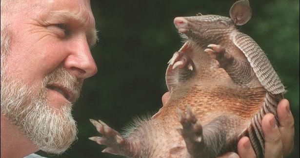 ‘Hoover Hogs’ are on the move into Kansas | News | abilene-rc.com