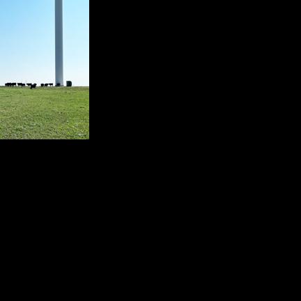 Wind farms arguments: NIMBY versus YIMBY | News | abilene-rc.com