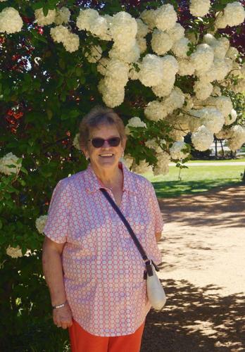 Kay Sanders | Obituaries | abilene-rc.com