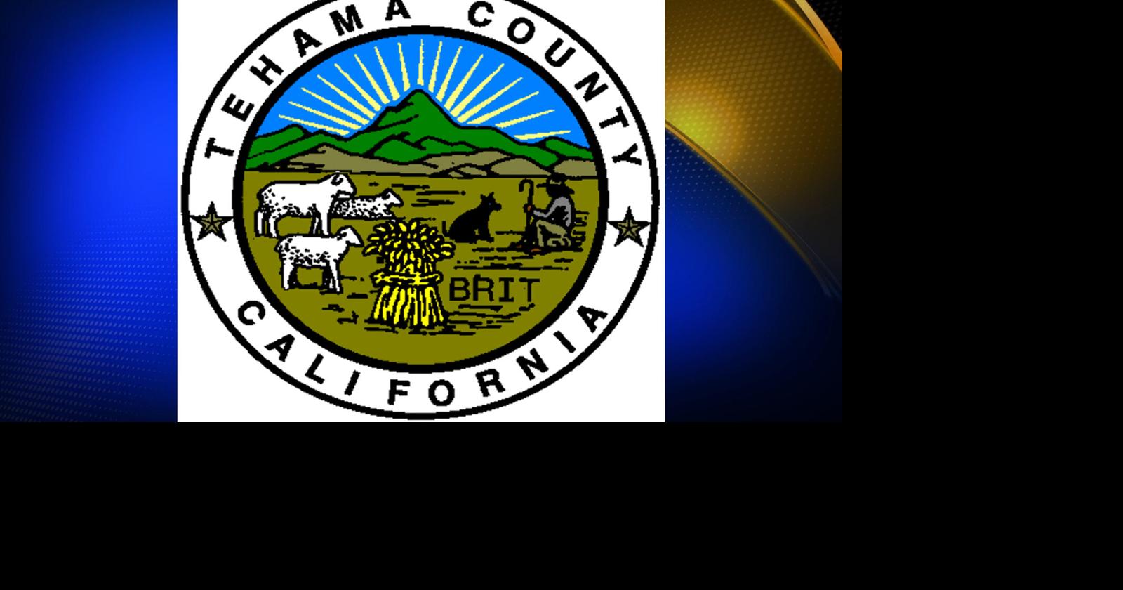 Microchip checkpoints for lost pets coming to Tehama County | News ...