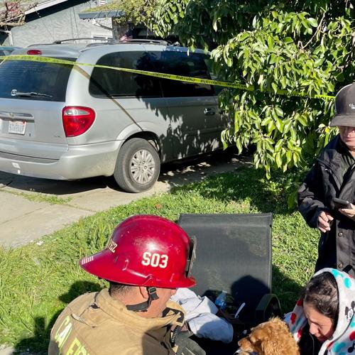Tree crushes house in Gridley, sparks gas leak; amid dog rescue | News ...
