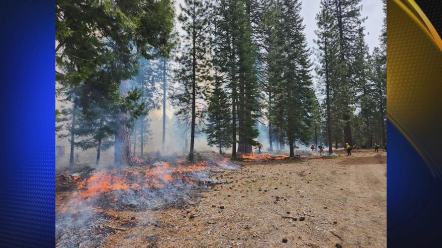 Controlled burn underway at Mt. Eddy base near Mt. Shasta | News ...