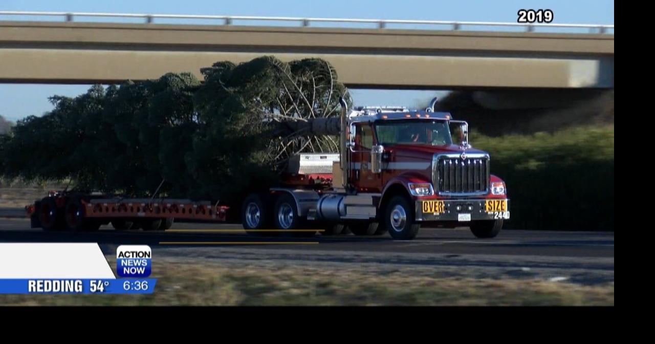 Sacramento Capitol Christmas Tree to be selected from LaTour ...