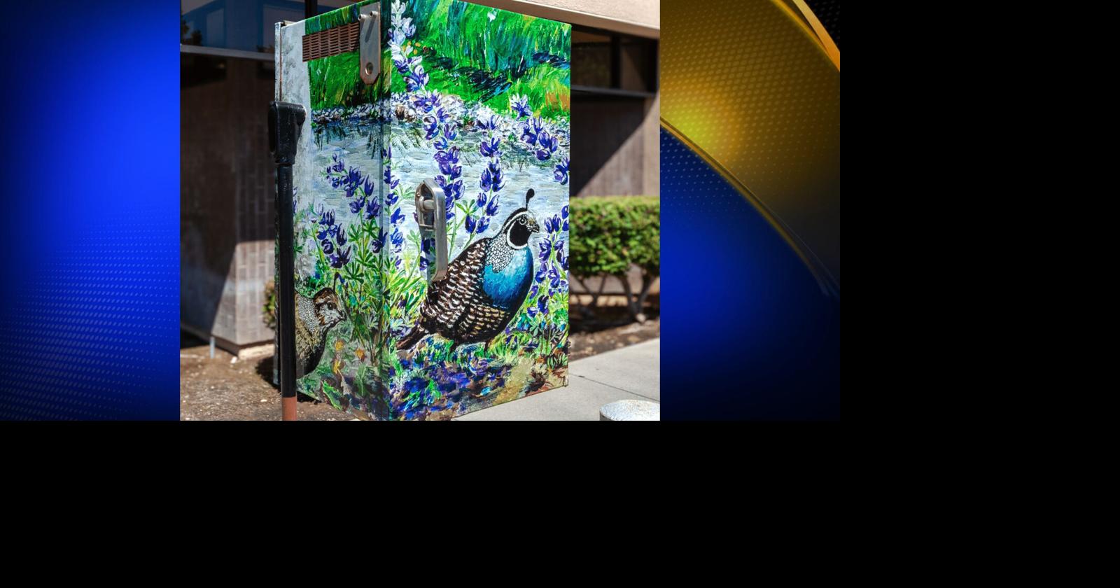 City of Chico installing artwork from local artists on utility boxes as ...