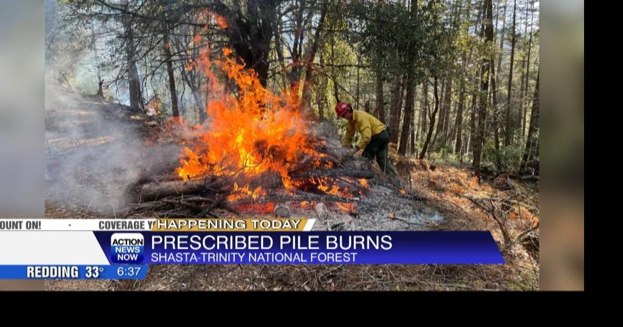 Shasta-Trinity Forest burns: 49 acres in McCloud area Monday | Video ...