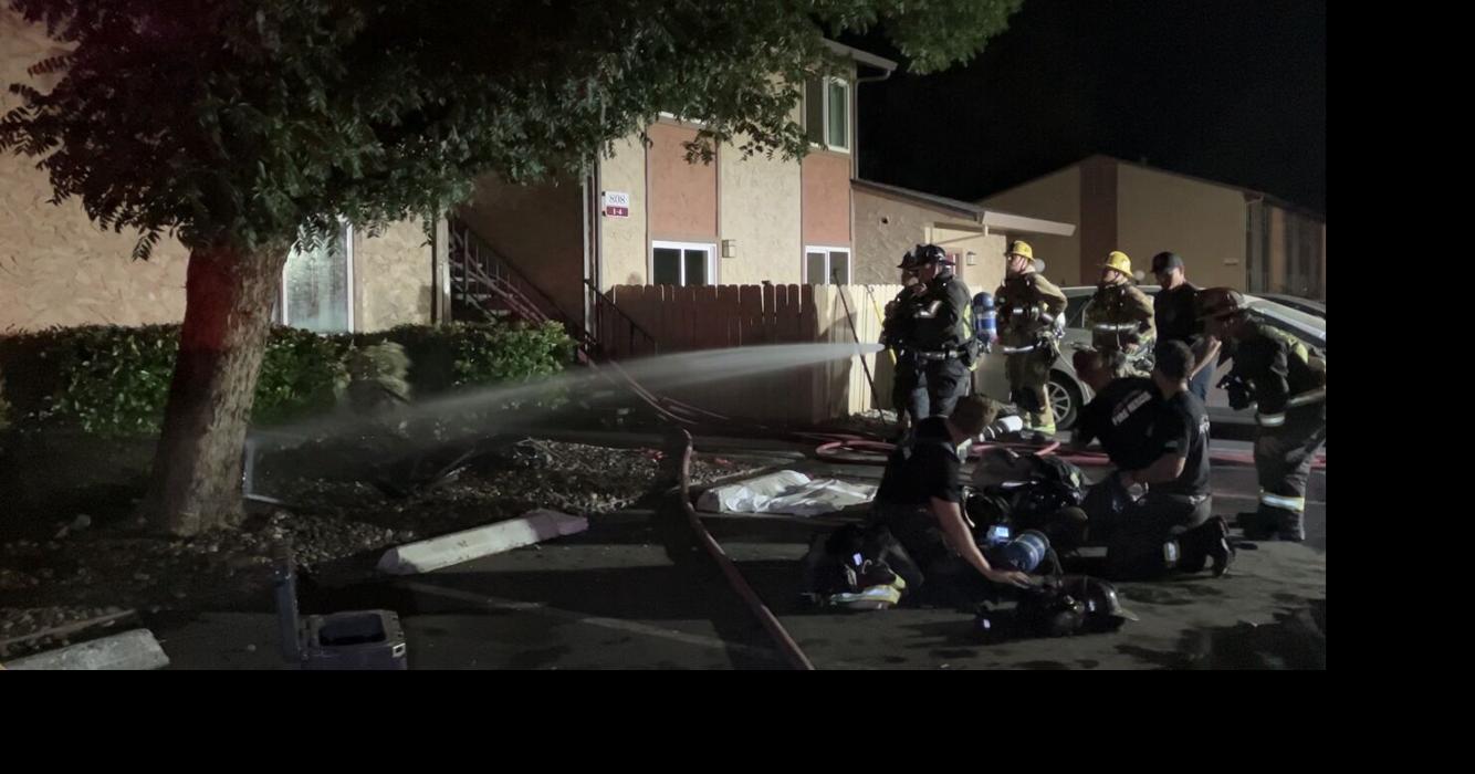 Early-morning apartment fire in Chico kills four pets | News ...