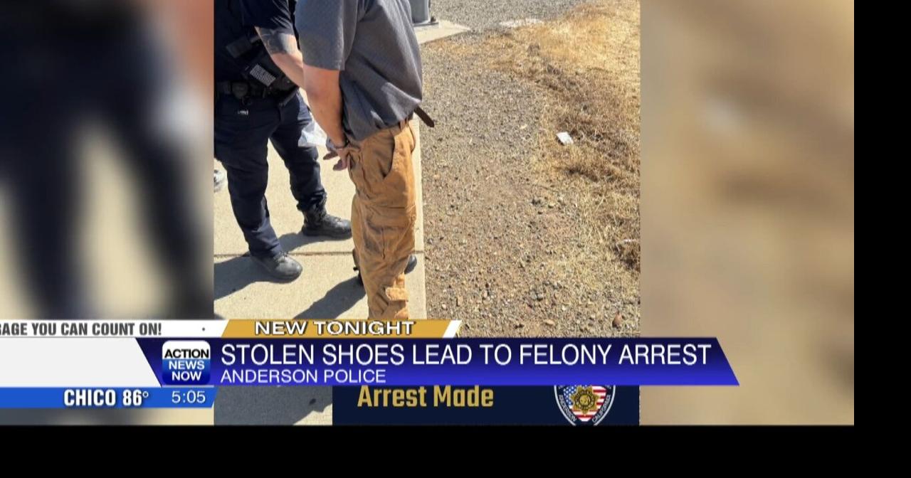 Registered sex offender arrested by Anderson Police for theft of shoes ...