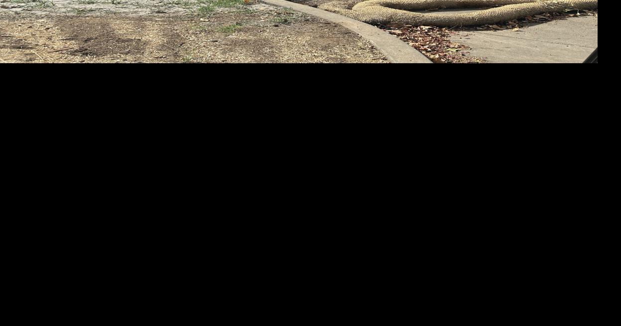 Bidwell Mansion Future Under Review After Structural Assessment | News ...