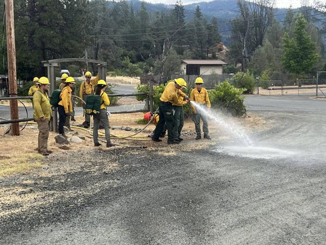 Basic-32 courses | | actionnewsnow.com