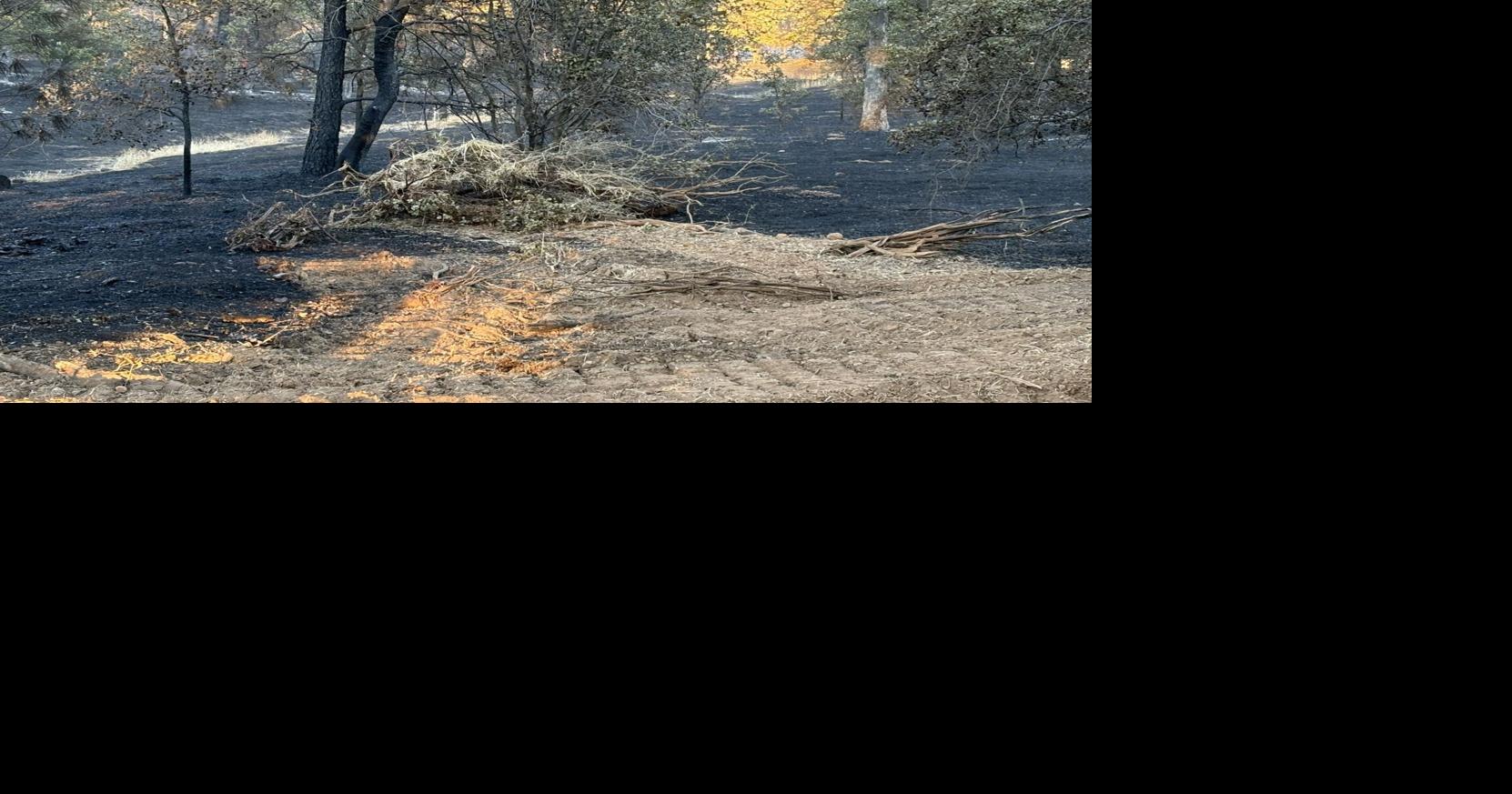 Olinda Fire: 98 acres, 50% containment | News | actionnewsnow.com