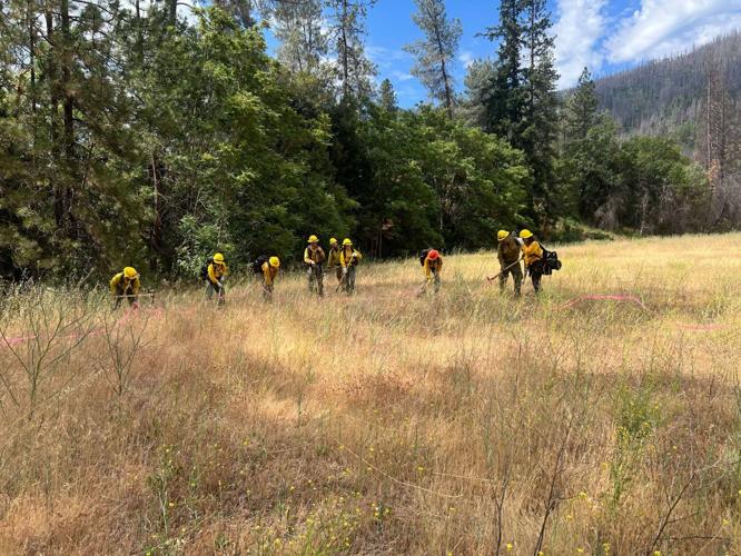 Basic-32 courses | | actionnewsnow.com