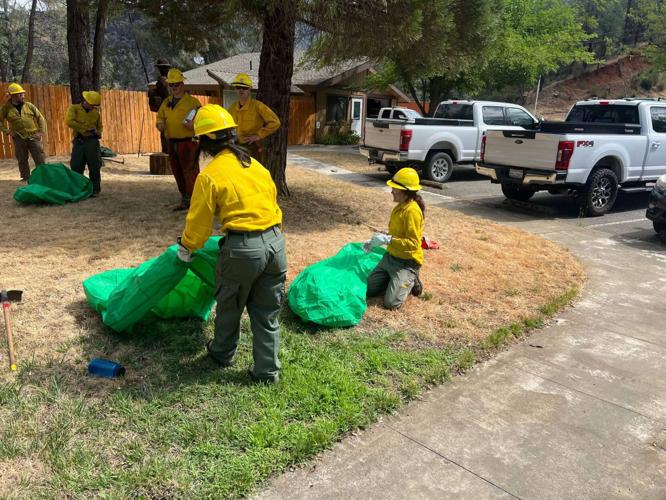 Basic-32 courses | | actionnewsnow.com