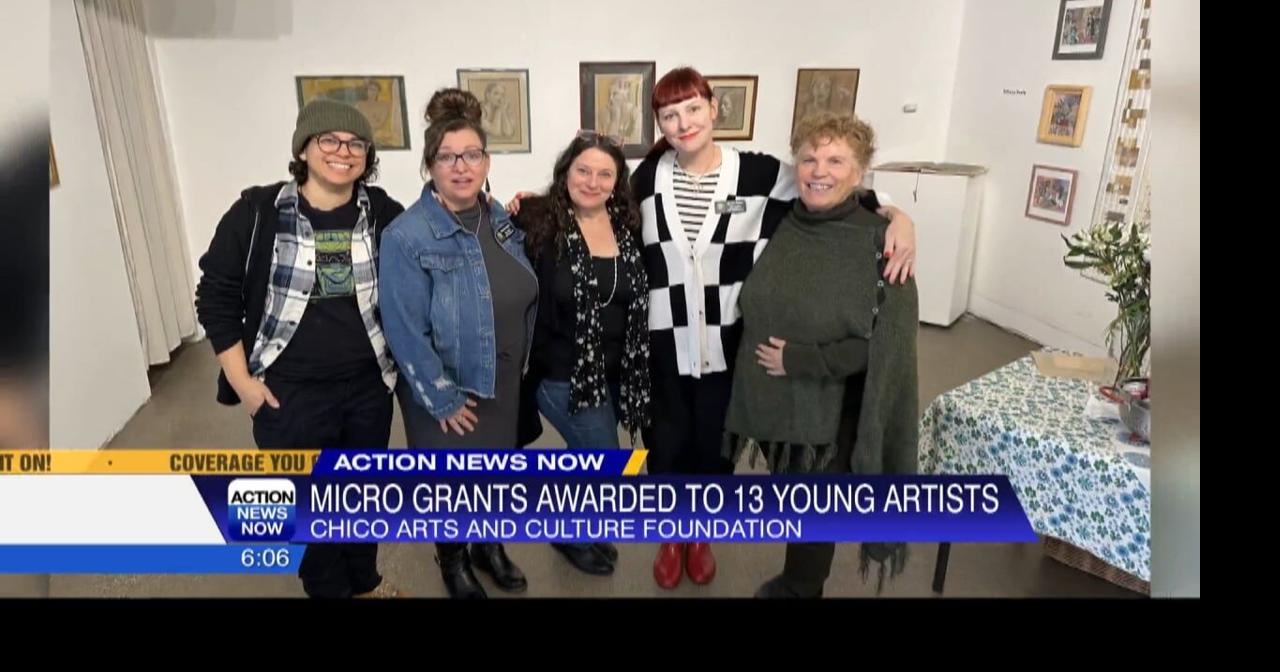 13 teens won money for art projects from Chico Arts & Culture ...