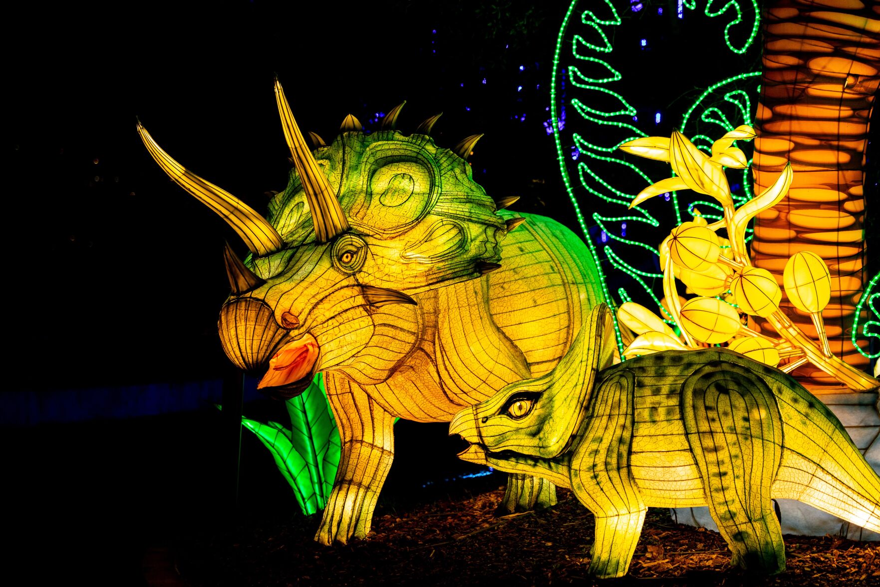 Turtle Bay Exploration Park to hold 3rd annual Glowing Wild Lantern ...