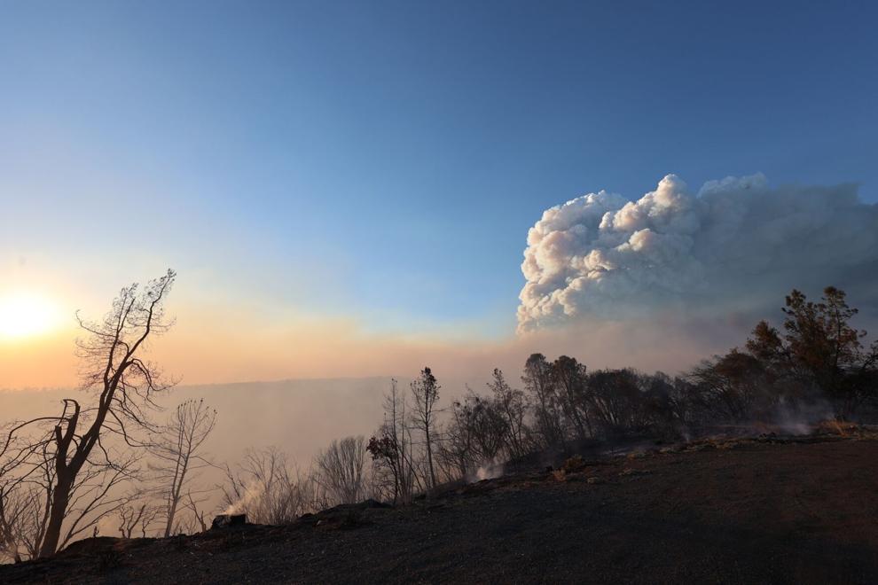 An update on the current situation of the Park Fire | News ...