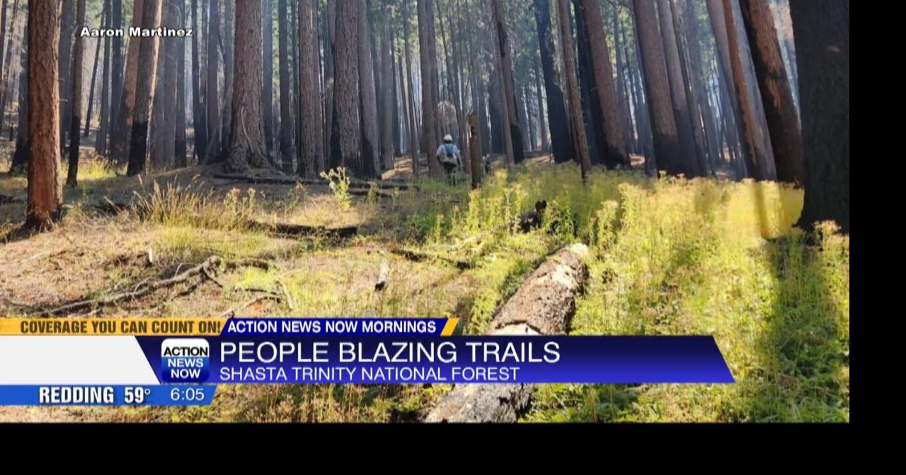 Shasta-Trinity National Forest got some help creating new trails | News ...