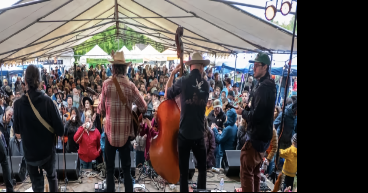 Wildflower Music Festival will return to DeGarmo Park | News ...