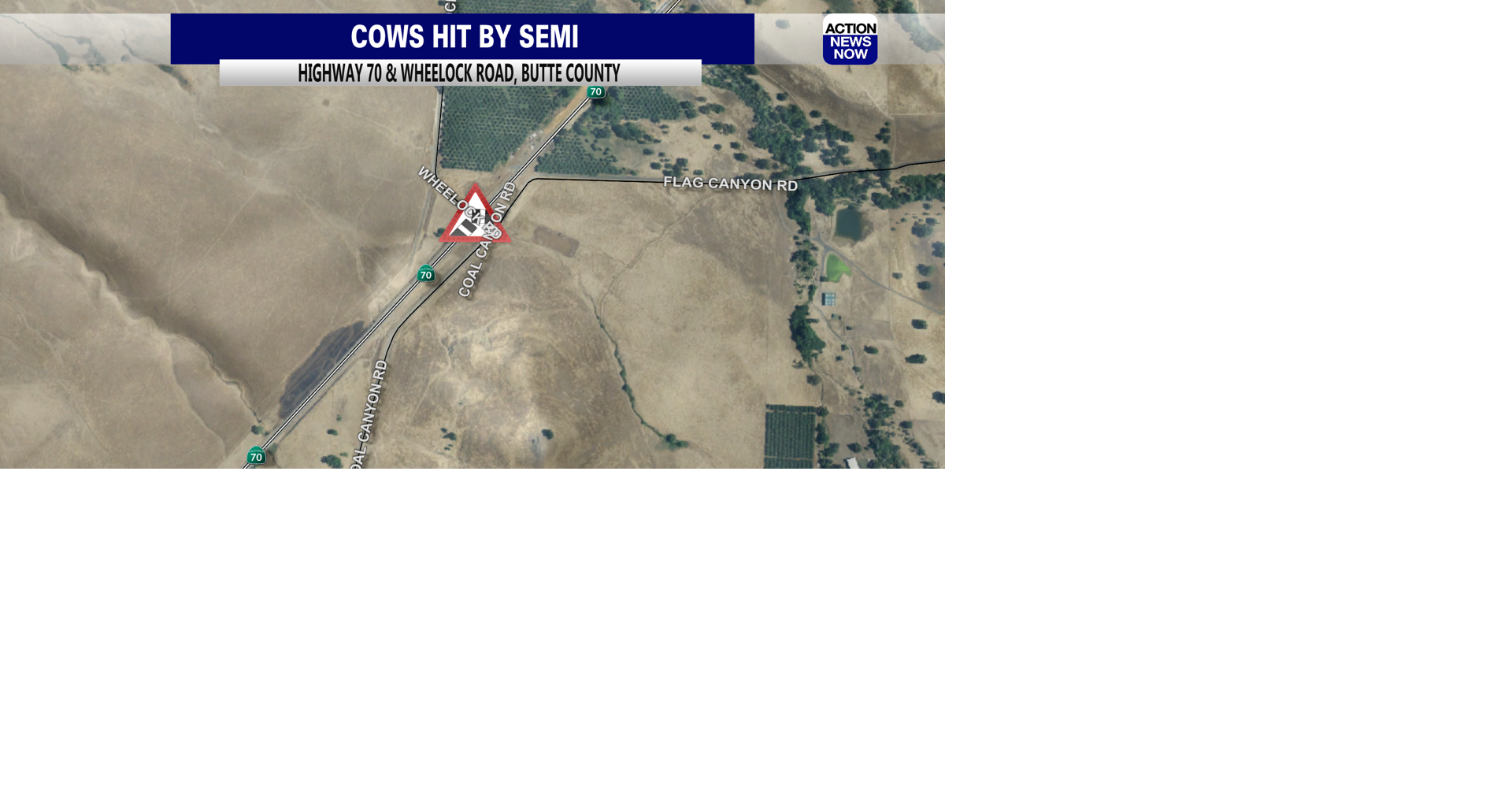 Semi crashes into herd of cattle in Butte County | News | actionnewsnow.com