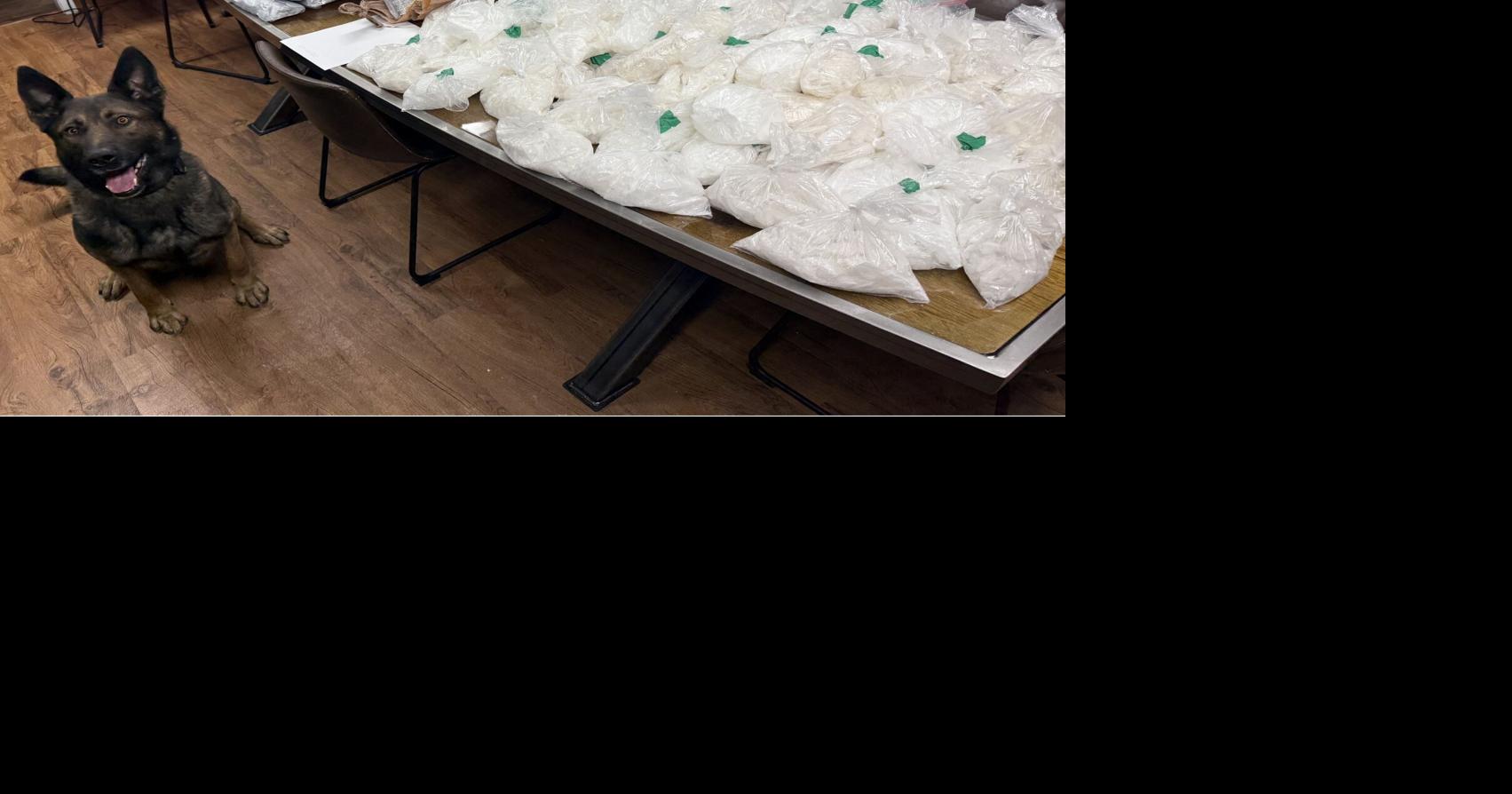 Anderson Police Department: K9 Rip helps seize 150 pounds of meth ...