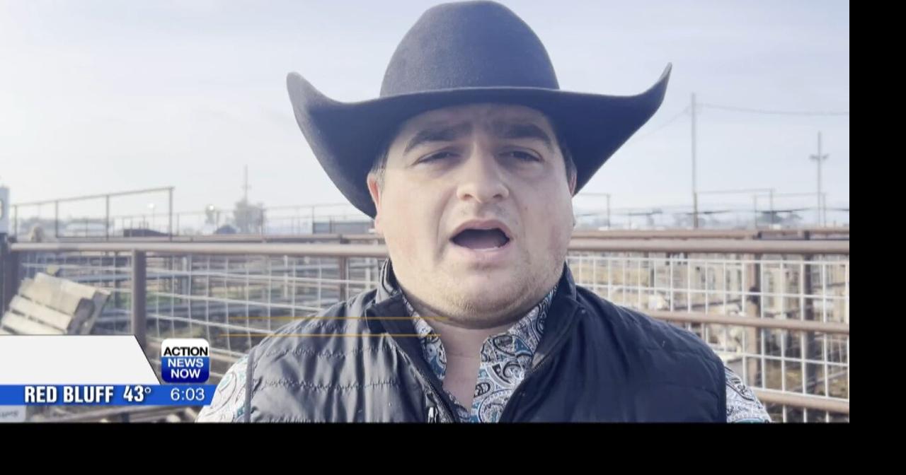 Auctioneer goes for World title | Video | actionnewsnow.com