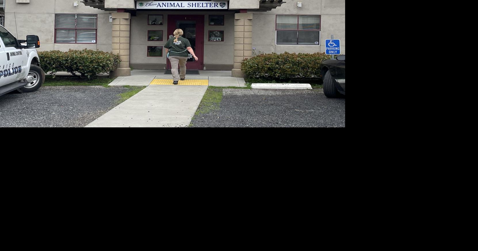 Chico Animal Services gets $50K grant for new Pet Pals Program | News ...