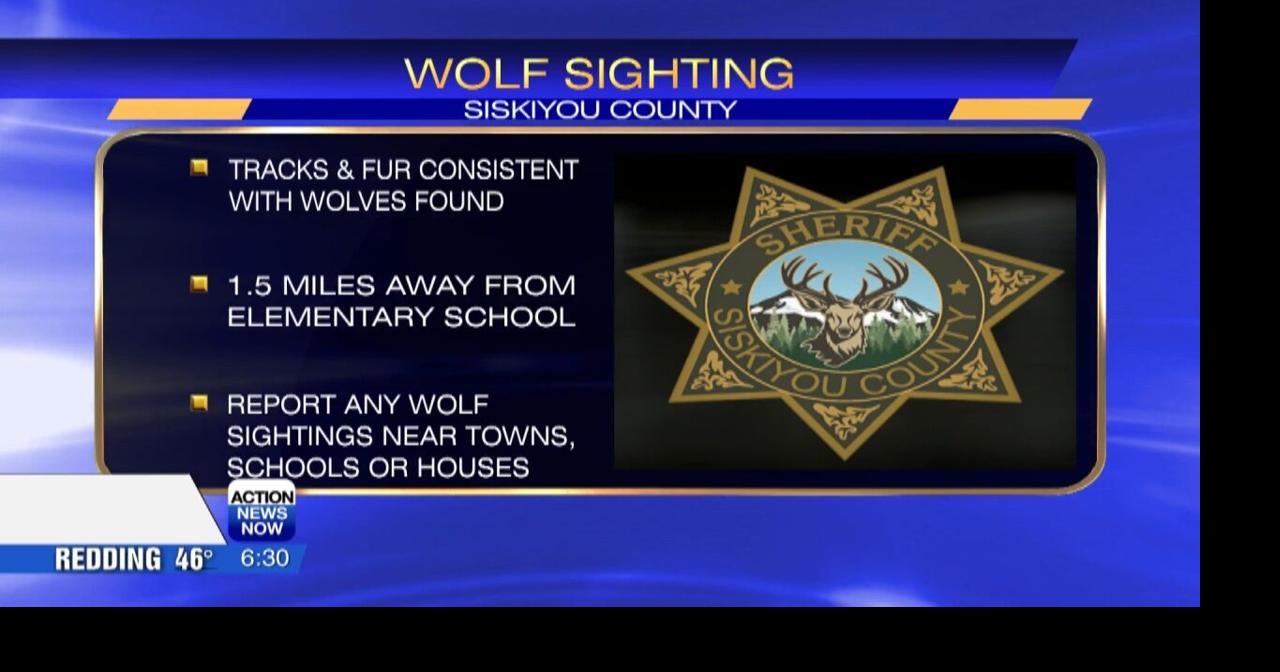 Siskiyou County residents warned after wolf sighting near school ...