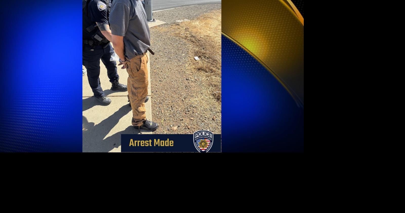 Registered sex offender arrested by Anderson Police for theft of shoes ...