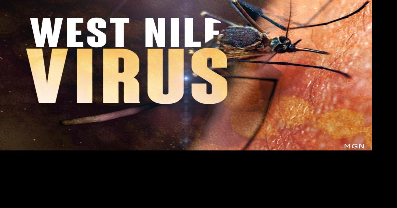 First West Nile Virus-positive mosquitos of 2025 found in northeast ...