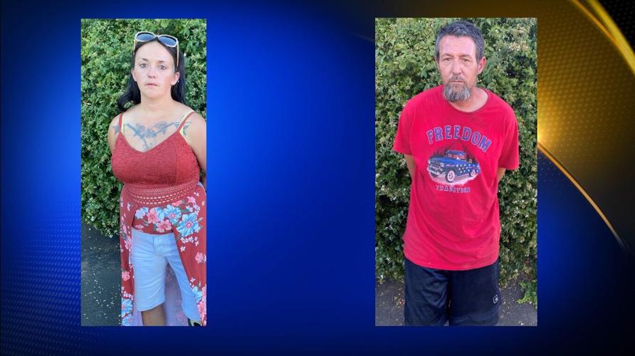 Traffic stop reveals four guns and ends with two arrests | News ...