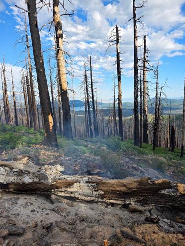 United States Forest Service provides updates on multiple lightning ...