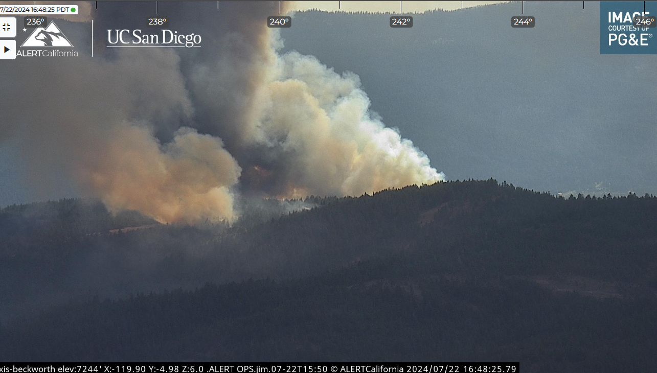 Gold Complex Fire Update: 700 acres burned with 0% containment - El ...
