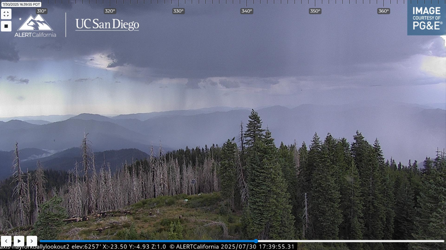 something special weather