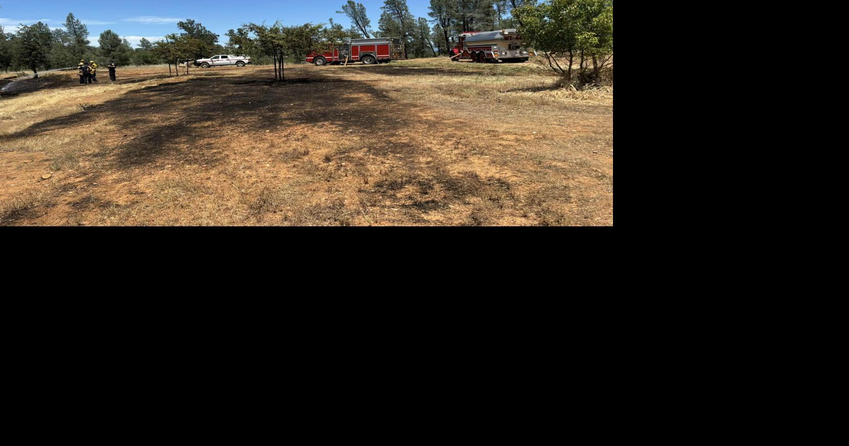 Firefighters quickly contain vegetation fire in Anderson | News ...