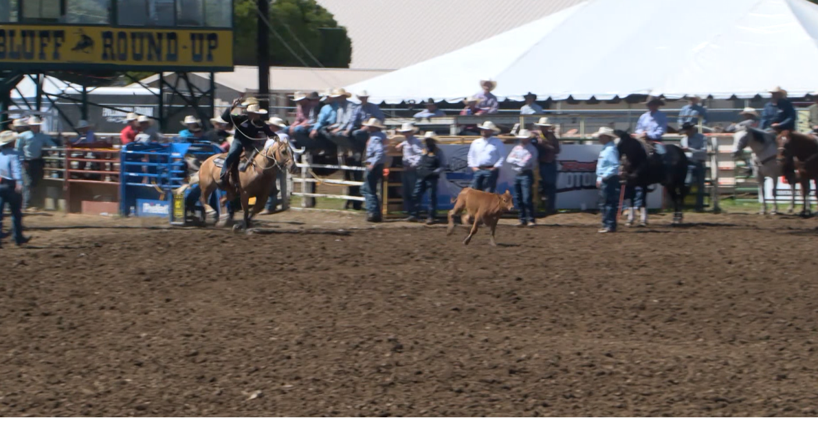 Red Bluff Round-Up kicks off competition | News | actionnewsnow.com