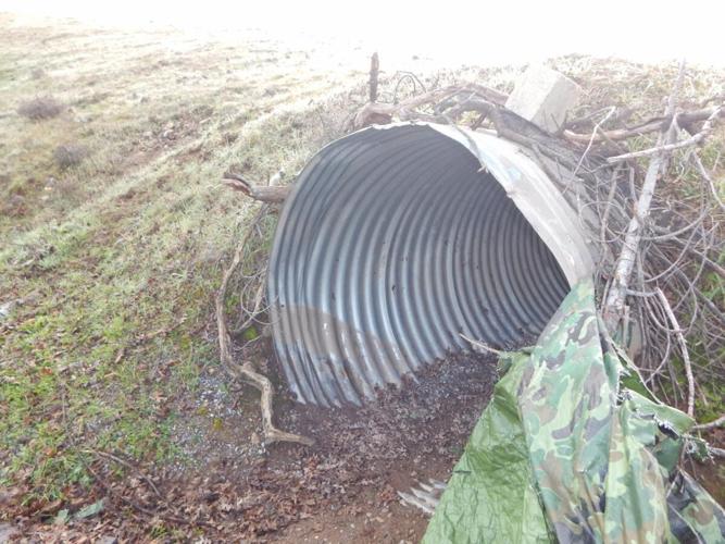 CHP: Illegal cannabis operation in Anderson uncovers bunker and ...
