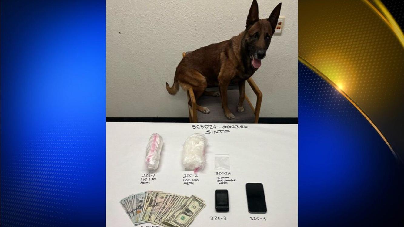 Sacramento man arrested in Shasta County after deputies found over 2 ...