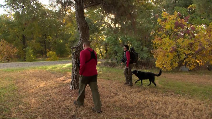 An inside look at K-9 training with Butte County Search & Rescue | News ...