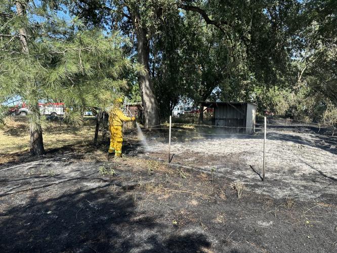 Vegetation fire in Glenn County under control | News | actionnewsnow.com