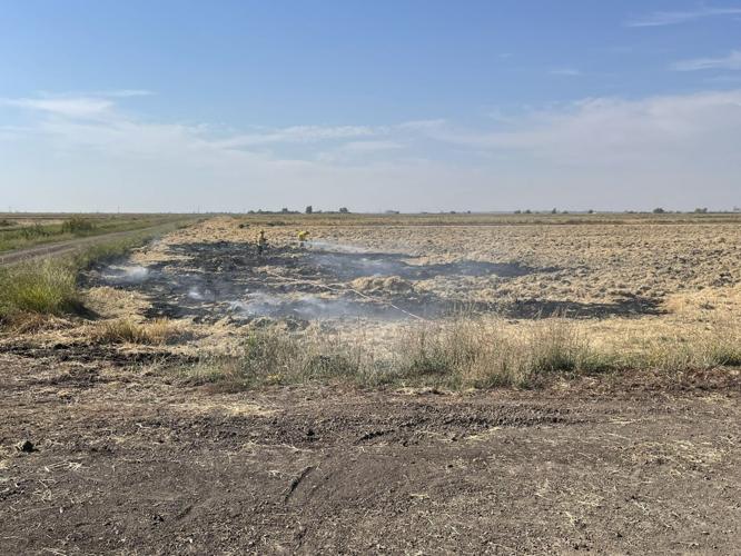 Firefighters contain tractor fire near Nelson | News | actionnewsnow.com