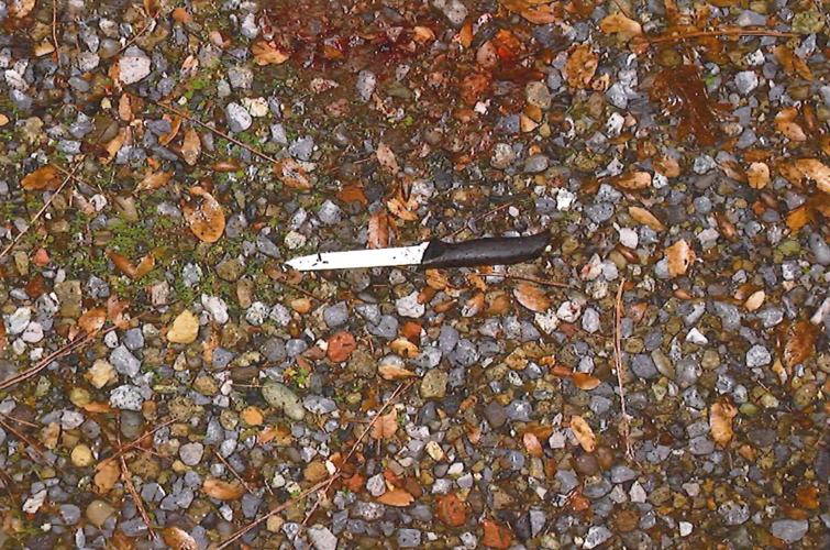 Shasta County District Attorney announces findings in fatal 2025 ...