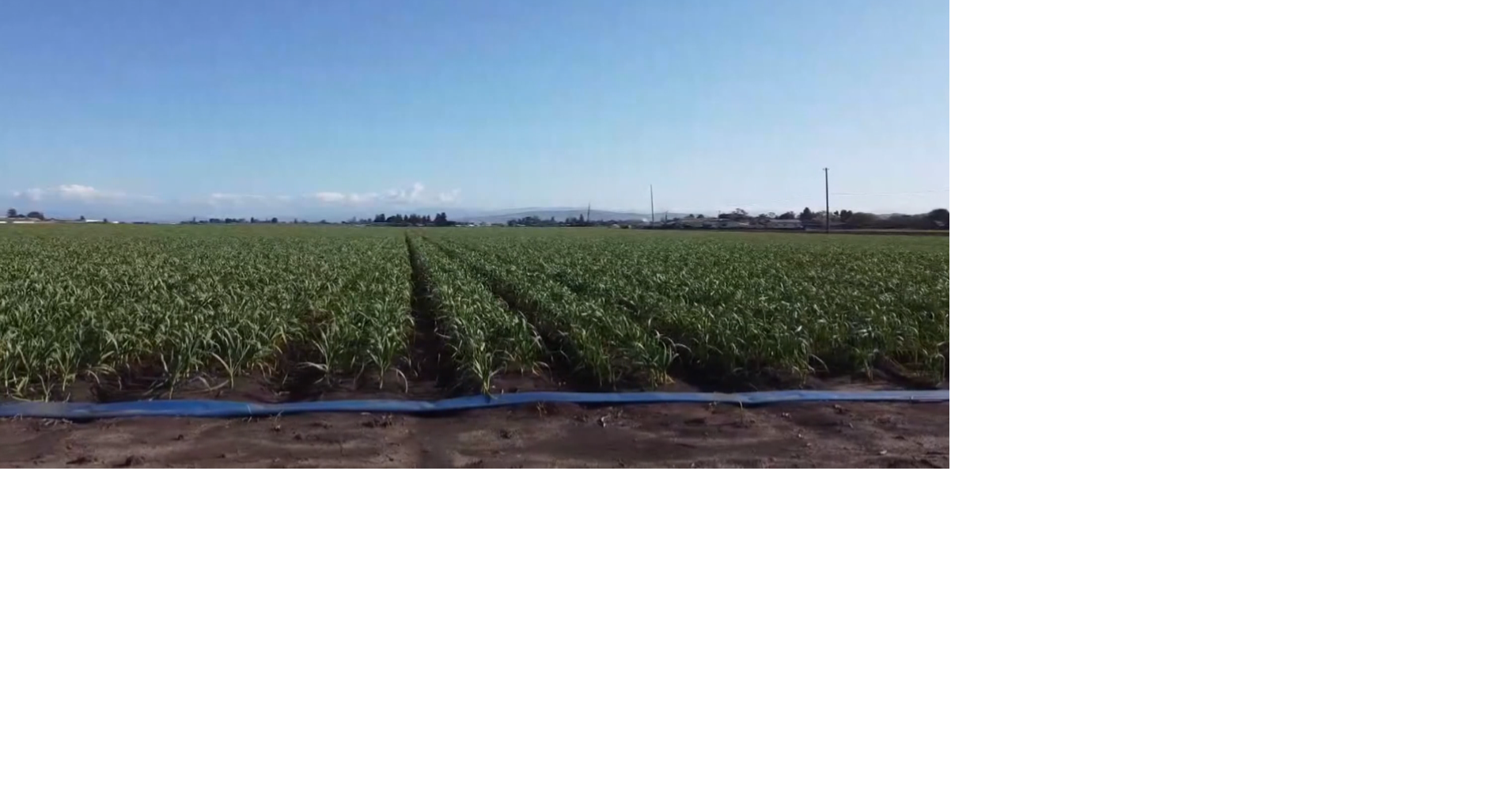 Regenerative agriculture gains boost from USDA, Chico State leading the ...