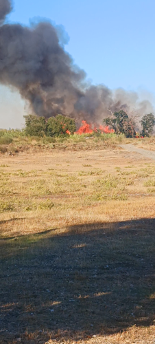 Fire crews at scene of fire cluster in Orland | News | actionnewsnow.com